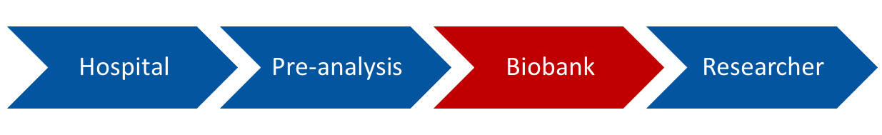 Biobanking Services - Durrer Center for Cardiovascular Research